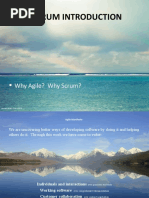 Transaction Codes For MRP (PP-MRP) : Menu Nodes Transaction Activity ...