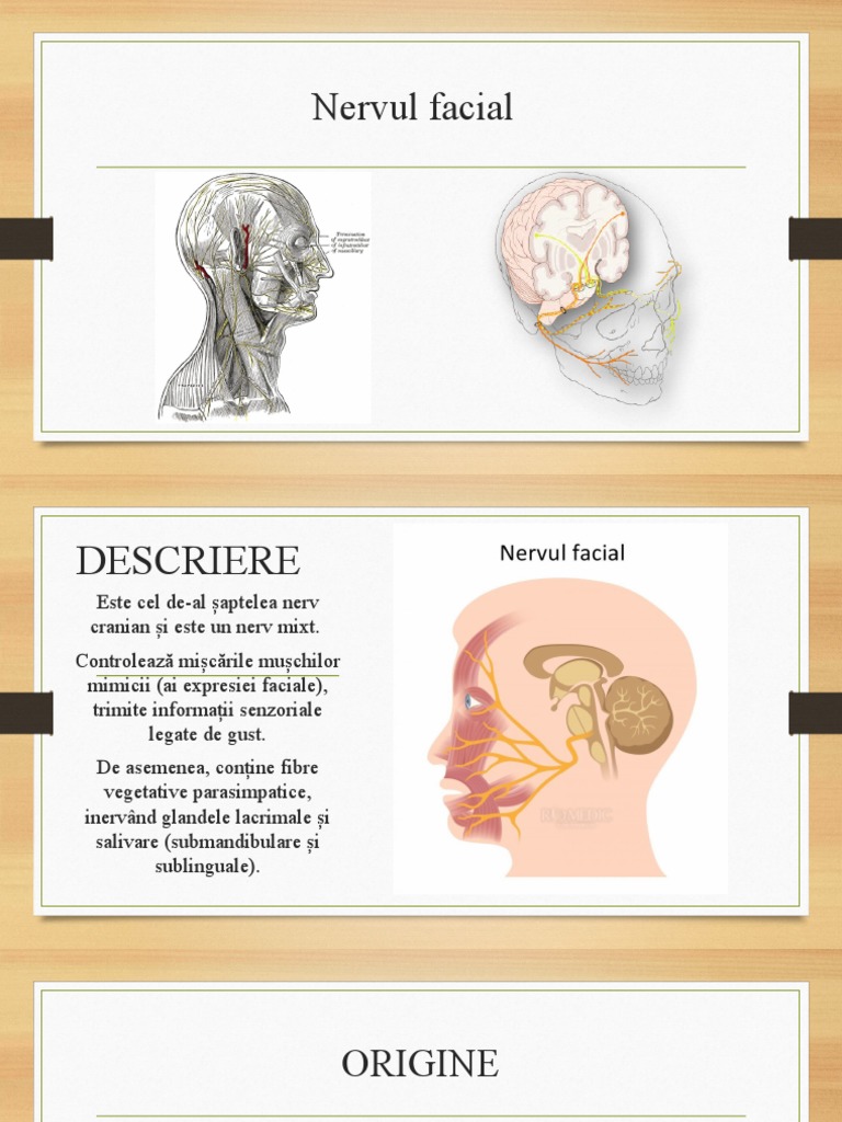 Nervul Facial | PDF