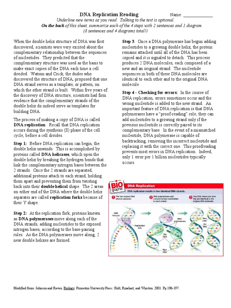 02 DNA Replication Reading | PDF | Dna | Dna Replication