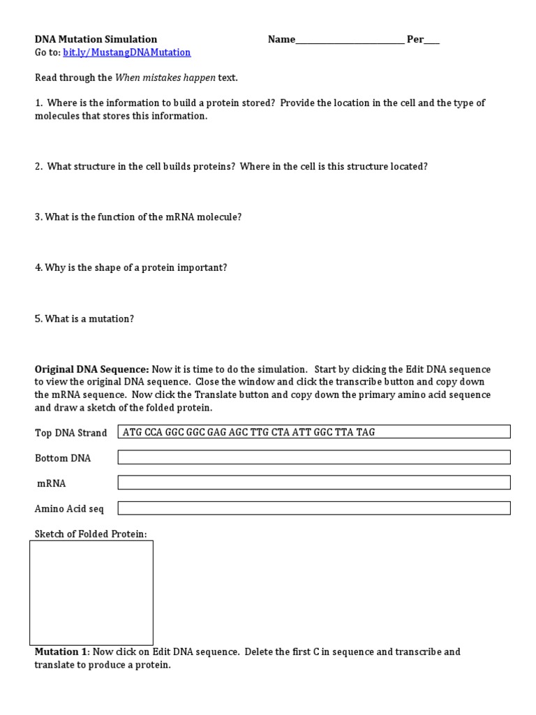 13 DNA Mutation Simulation | PDF | Proteins | Dna