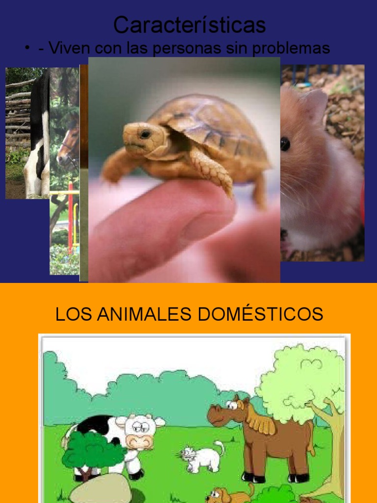 Animales Domésticos y de Granja | PDF | Cocina, comidas y vino