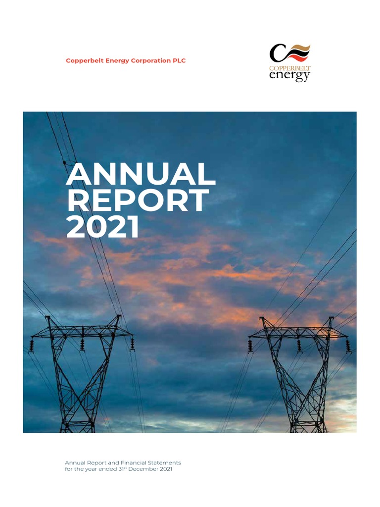 CEC - Annual Report (2021) | PDF | Audit | Financial Statement