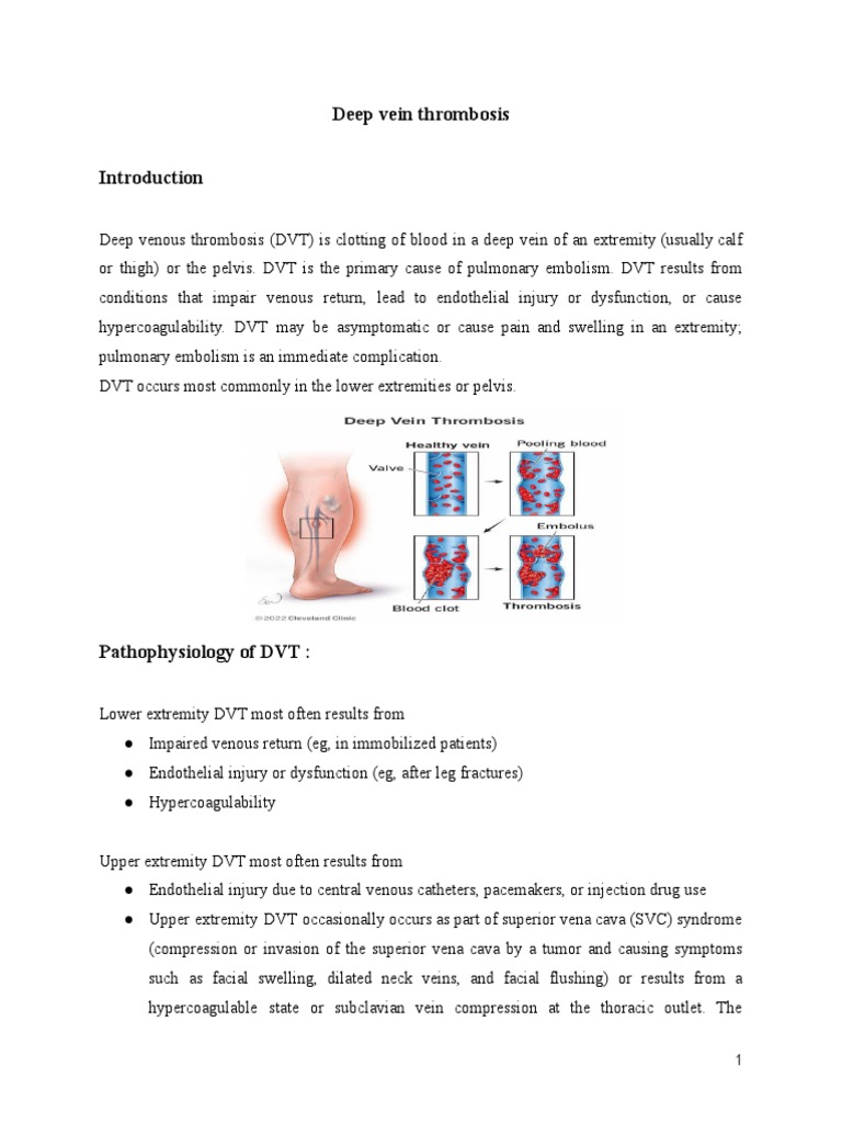 Deep Vein Thrombosis | PDF | Thrombosis | Vein