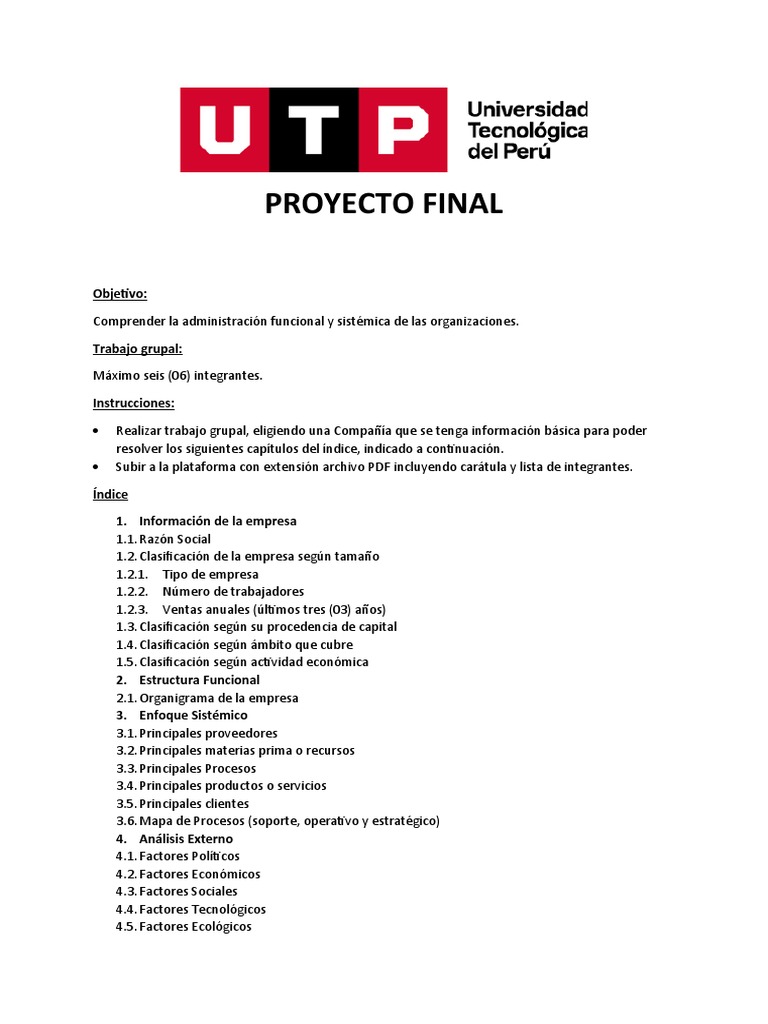Administración y Organización de Empresas - PROYECTO FINAL | PDF