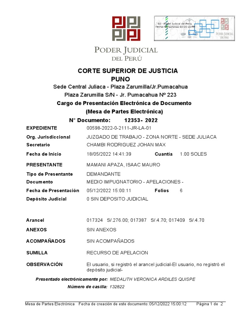 Puno Corte Superior de Justicia | PDF