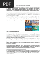 Contaminación Ambiental | PDF | Contaminación | La contaminación del aire