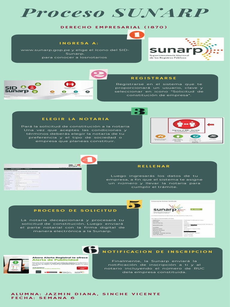 Proceso Sunarp | PDF