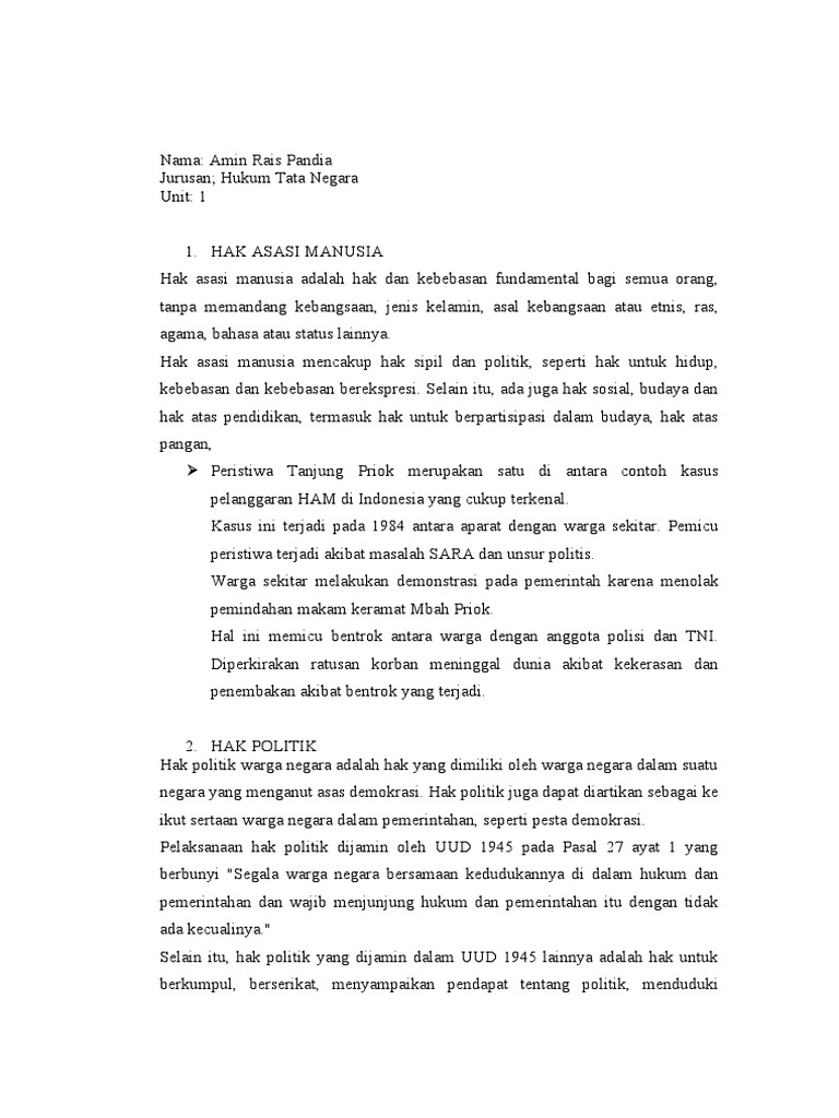 Amin Rais Pandia | PDF