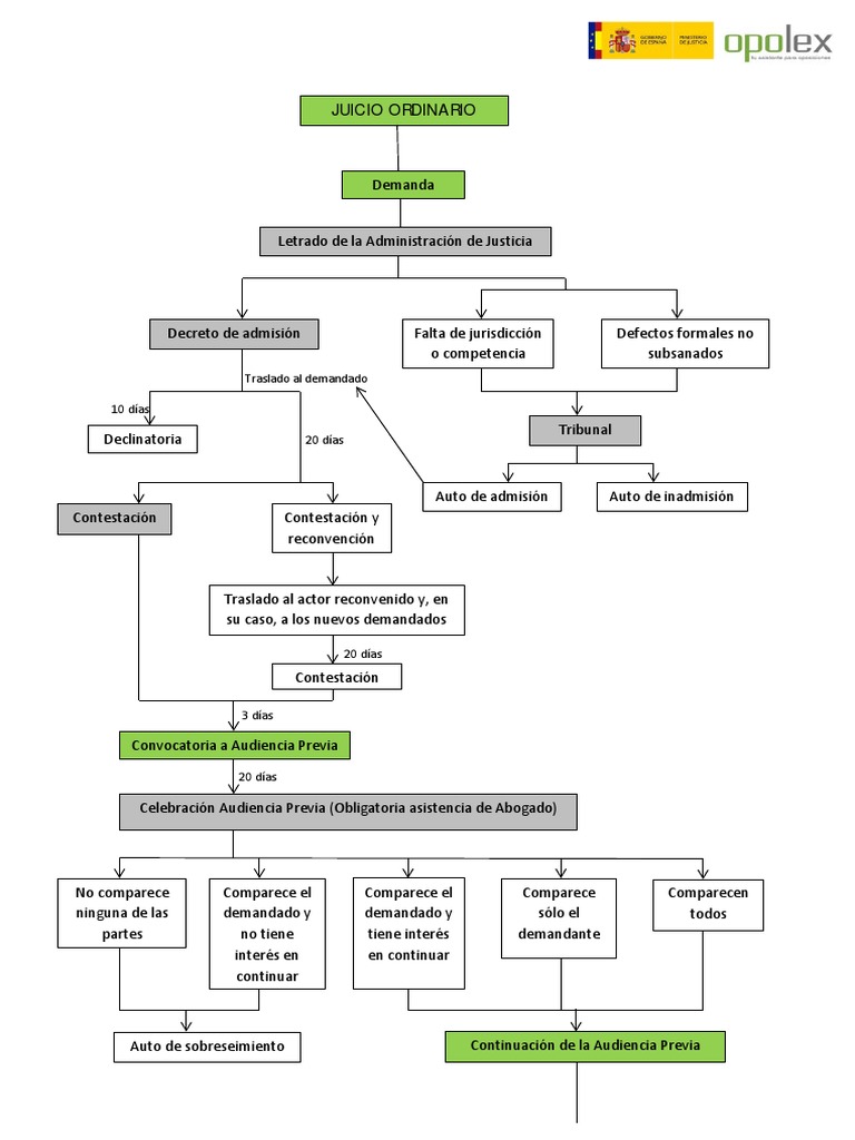 Esquema Juicio Ordinario | PDF | Sentencia (ley) | Demanda judicial