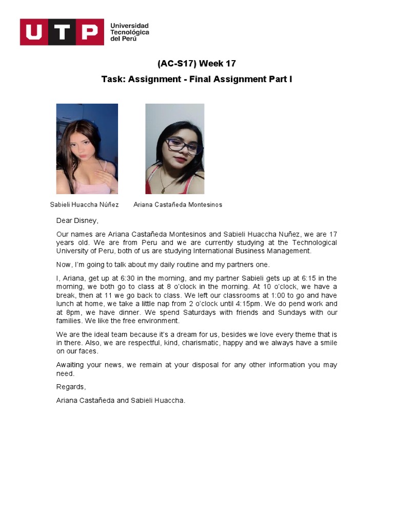 (AC-S17) Week 17 - Task Assignment - Final Assignment Part I | PDF