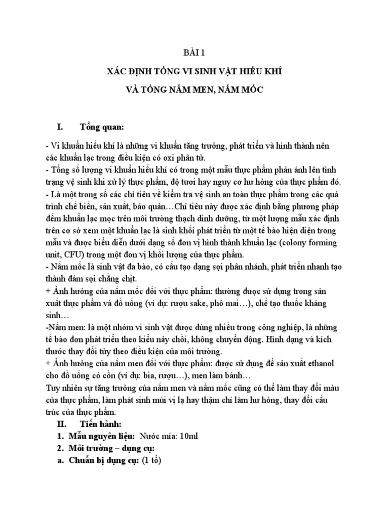 Báo Cáo VSTP | PDF