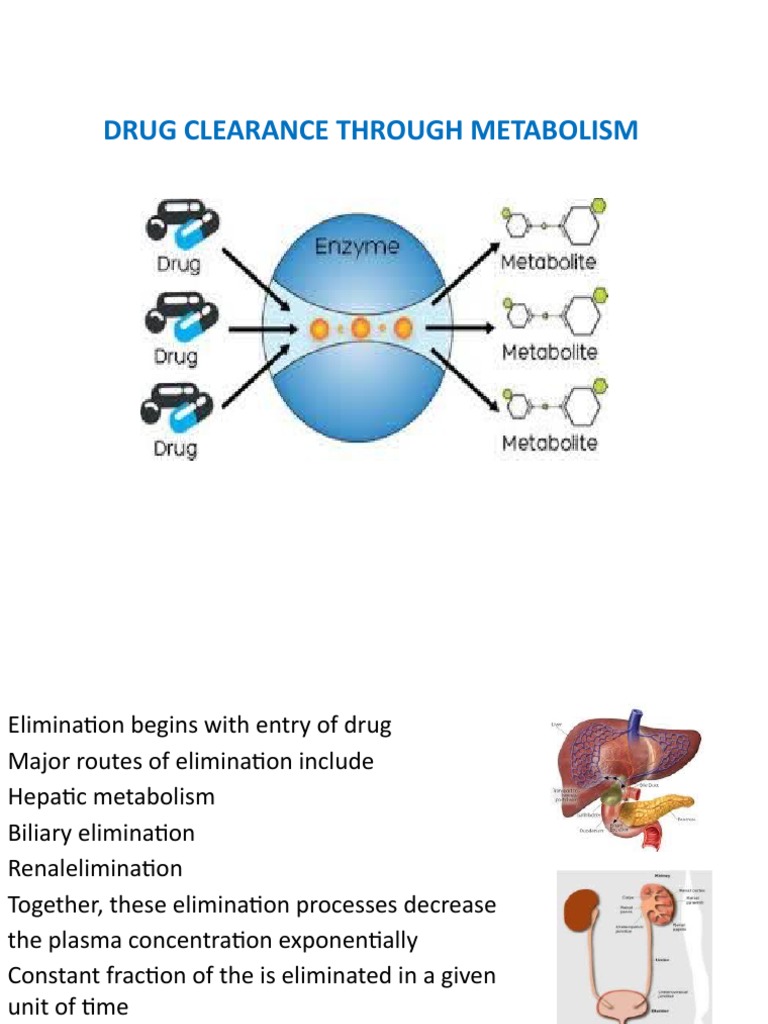 Drug Elimination | Download Free PDF | Drug Metabolism | Medicinal ...