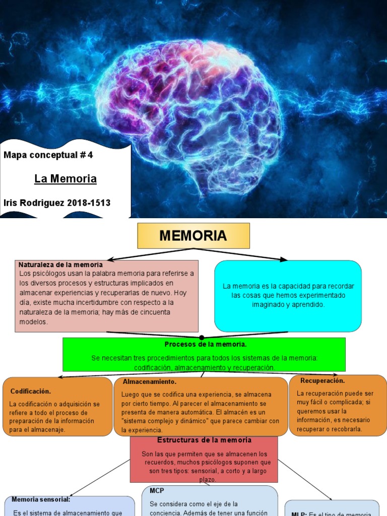 Mapa 4 | PDF | Memoria | Cerebro