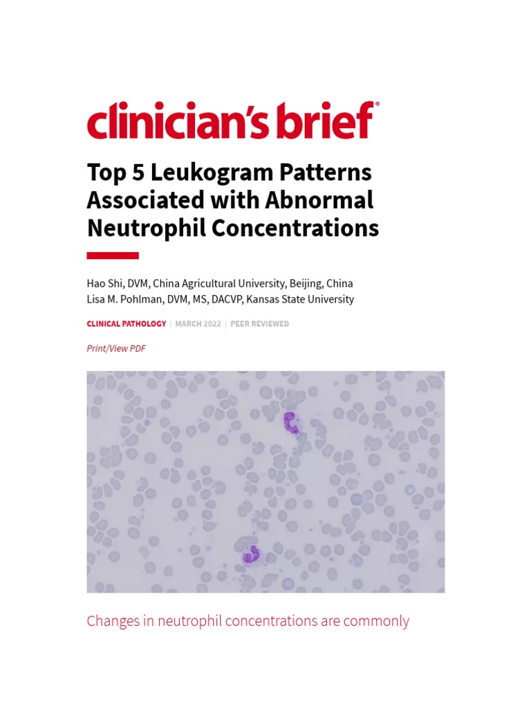 Top 5 Leukogram Patterns Associated With Abnormal Neutrophil Concentrations CL | PDF | White ...