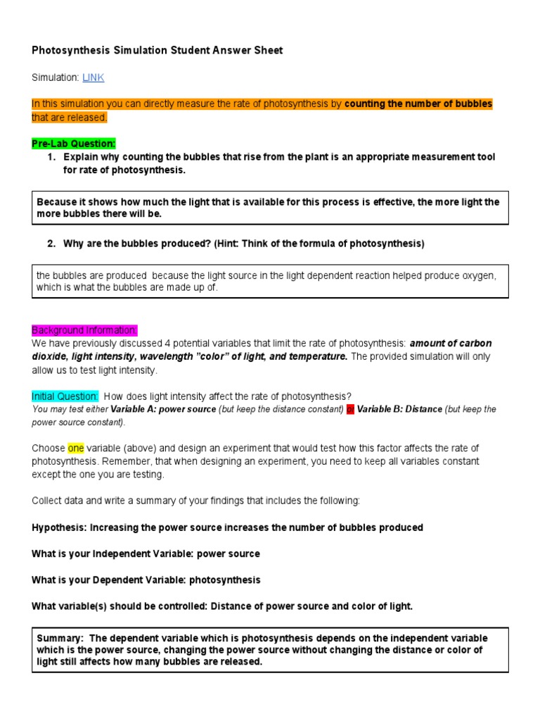 The Effect of Light Intensity on the Rate of Photosynthesis | PDF ...