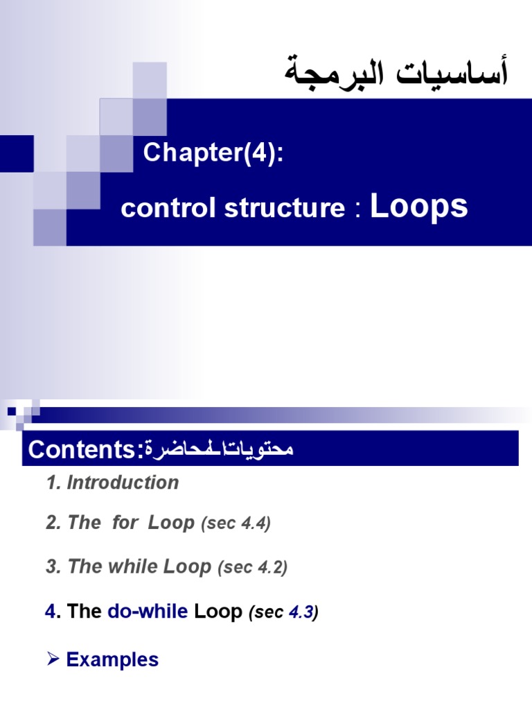04 Loops | PDF