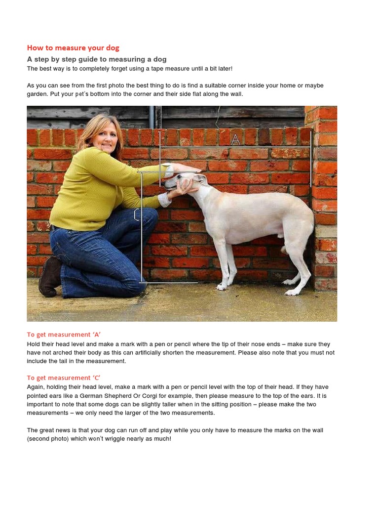 How To Measure A Dog | PDF