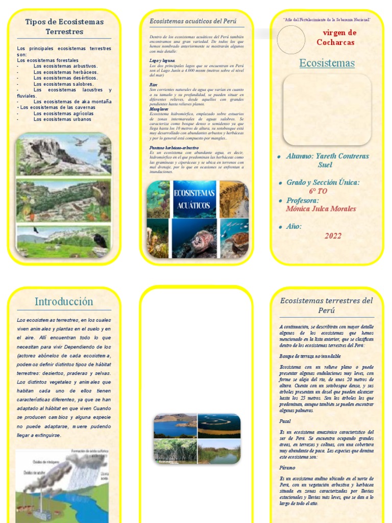 Diversidad de ecosistemas terrestres y acuáticos en el Perú | PDF | Ecosistema | Selva