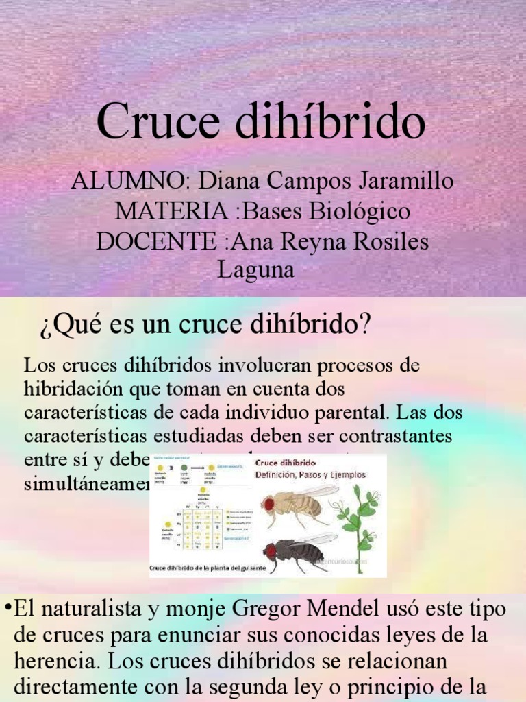 Cruce Dihíbrido | PDF