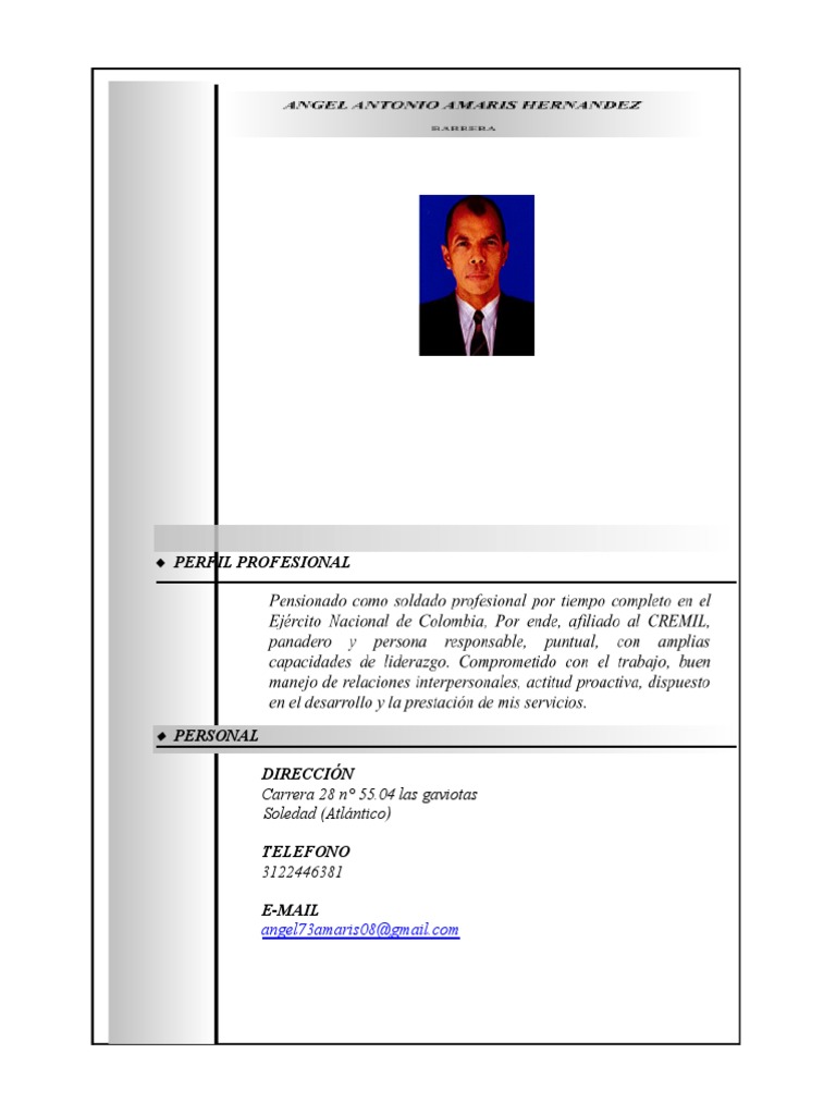 Perfil Profesional de Angel Amaris | PDF
