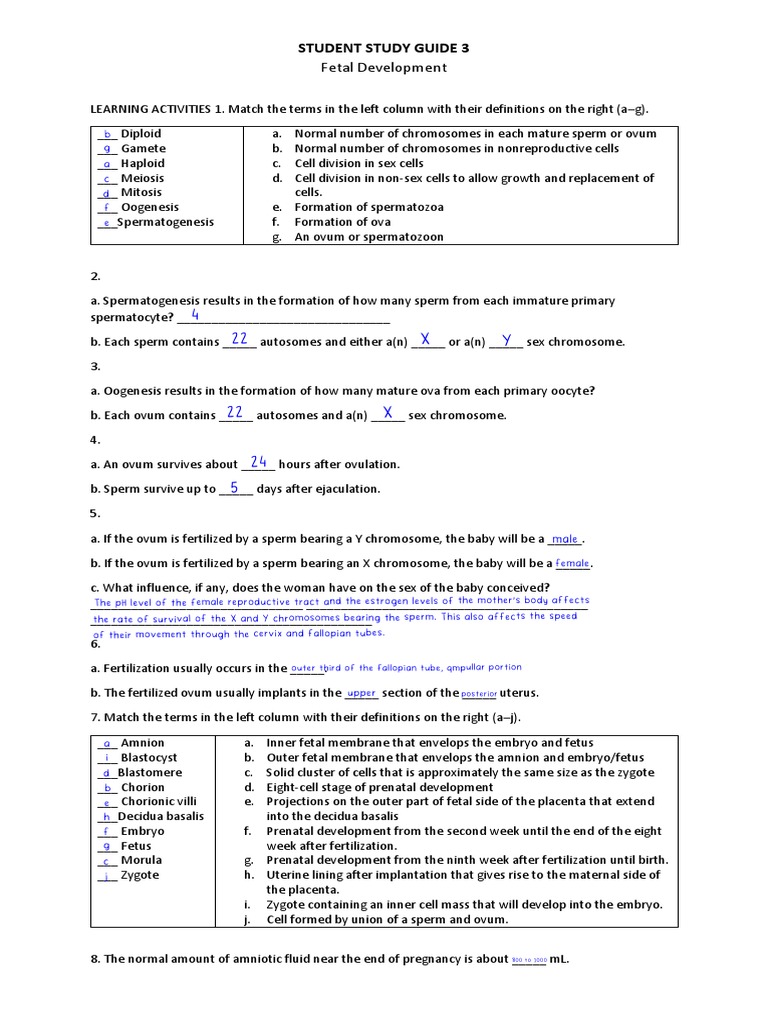 Hinanay - SSG 3 Cmca | PDF | Fetus | Reproductive System