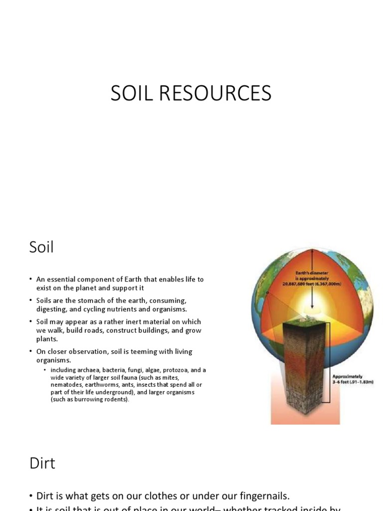 Soil Resources | PDF | Soil | Geomorphology