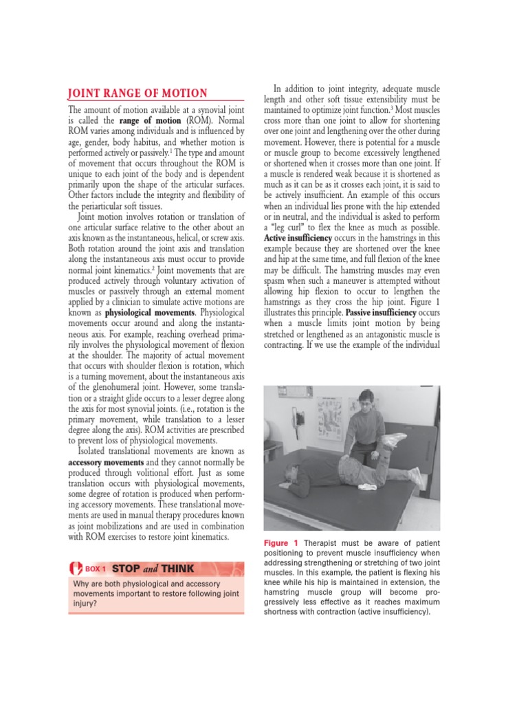 Anatomy Angles | PDF | Anatomical Terms Of Motion | Axon