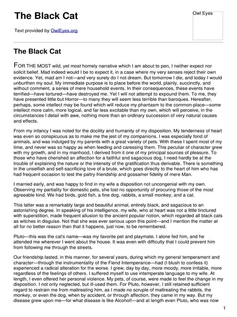 Oe Black Cat Text | PDF | Plaster | Cats