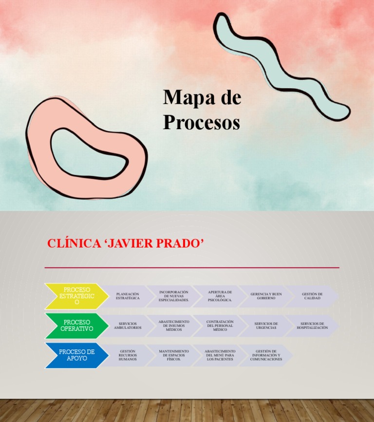 Mapa de Procesos | PDF