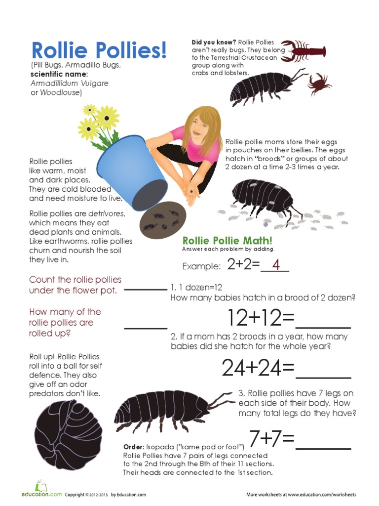 Rollie Pollies | PDF