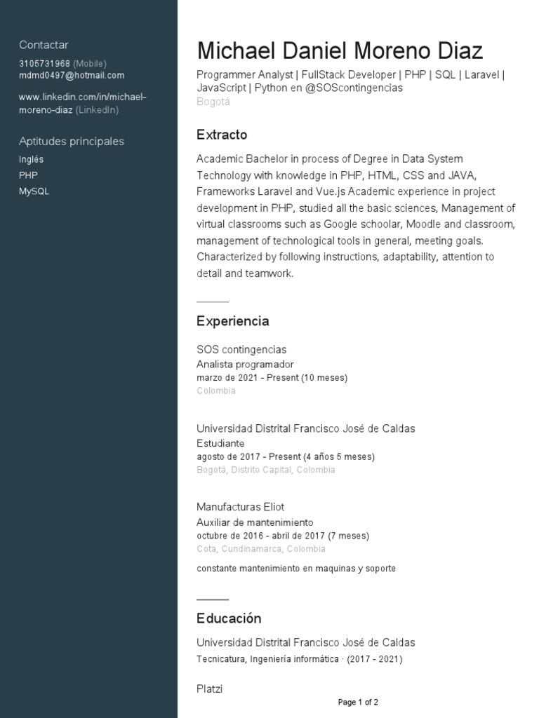 Perfil CV Michael | PDF | Php | Desarrollo tecnológico