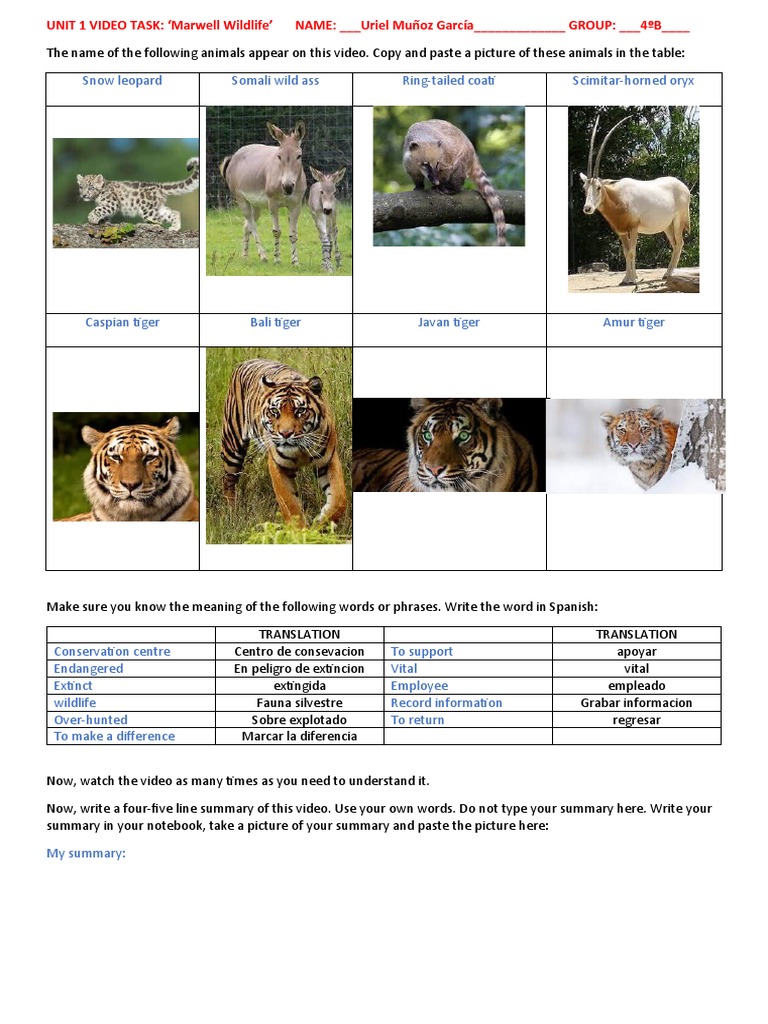 Marwell Wildlife Video Task Overview | PDF | Language Arts & Discipline ...