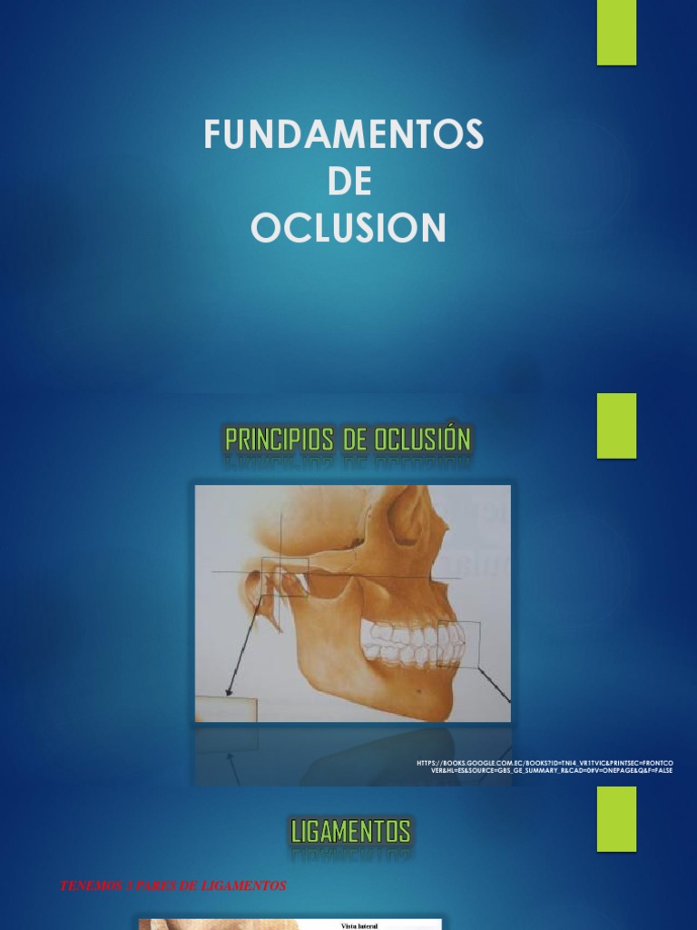 Fundamentos de Oclusion | PDF | Boca | Especialidades Medicas