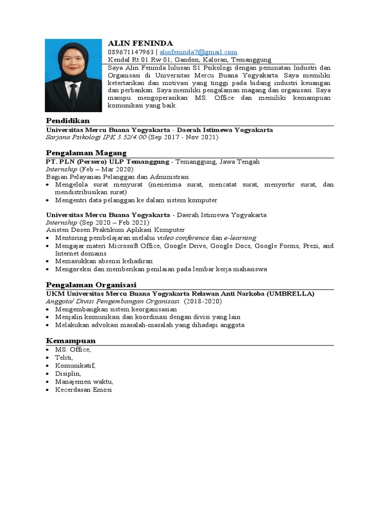 CV Alin Ad | PDF