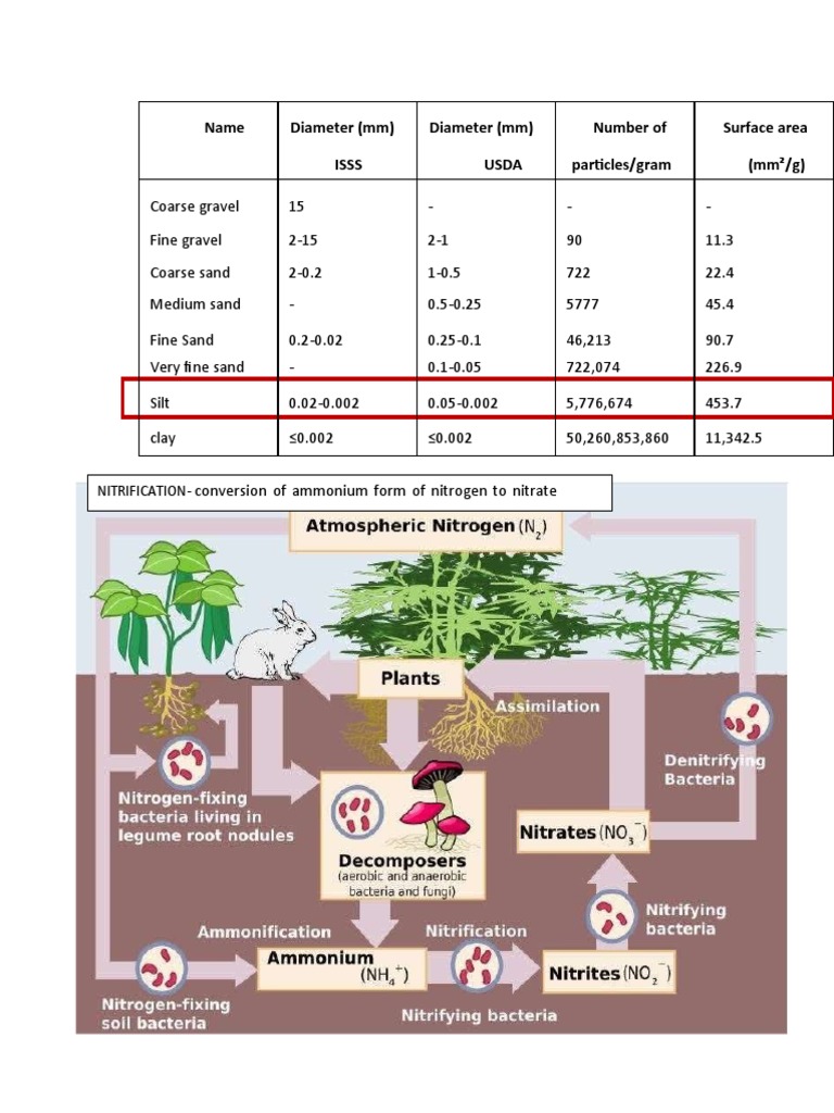 Soil Sci Reviewer Sir Jeeno | PDF | Soil | Physical Geography