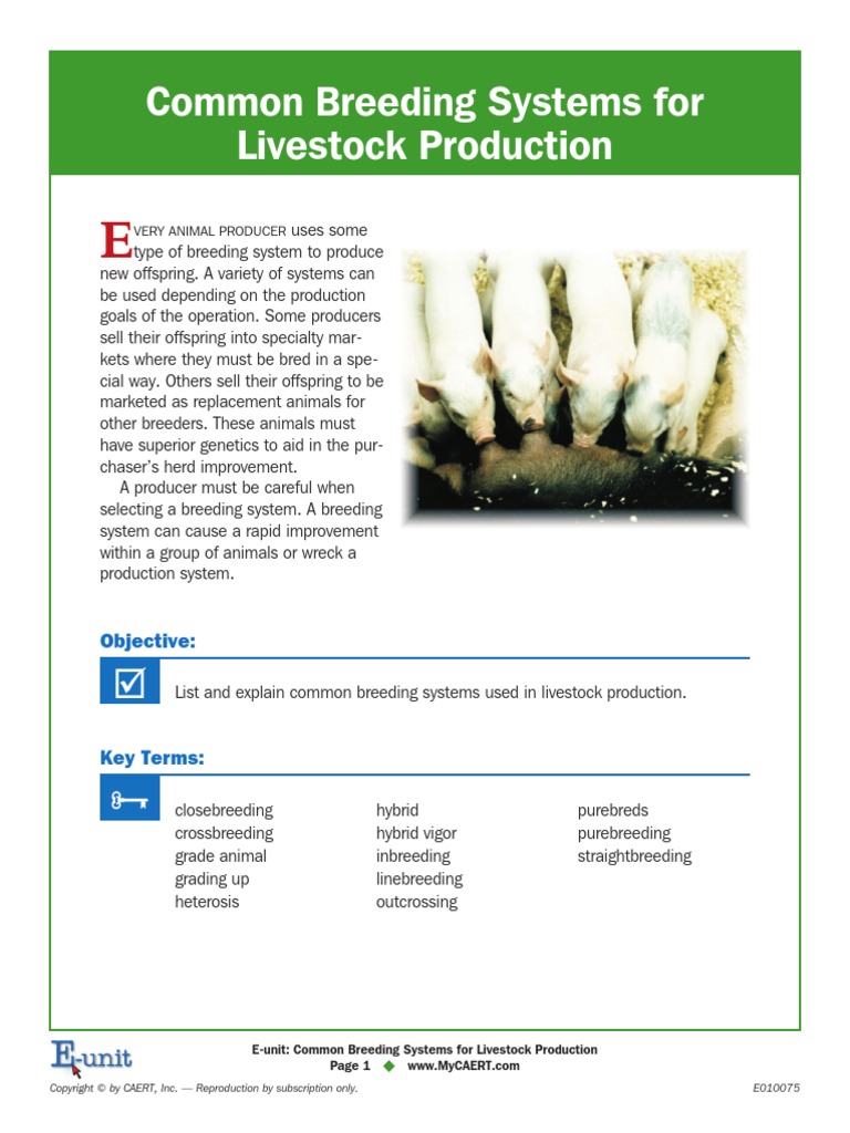Common Breeding Systems For Livestock Production | PDF | Inbreeding ...