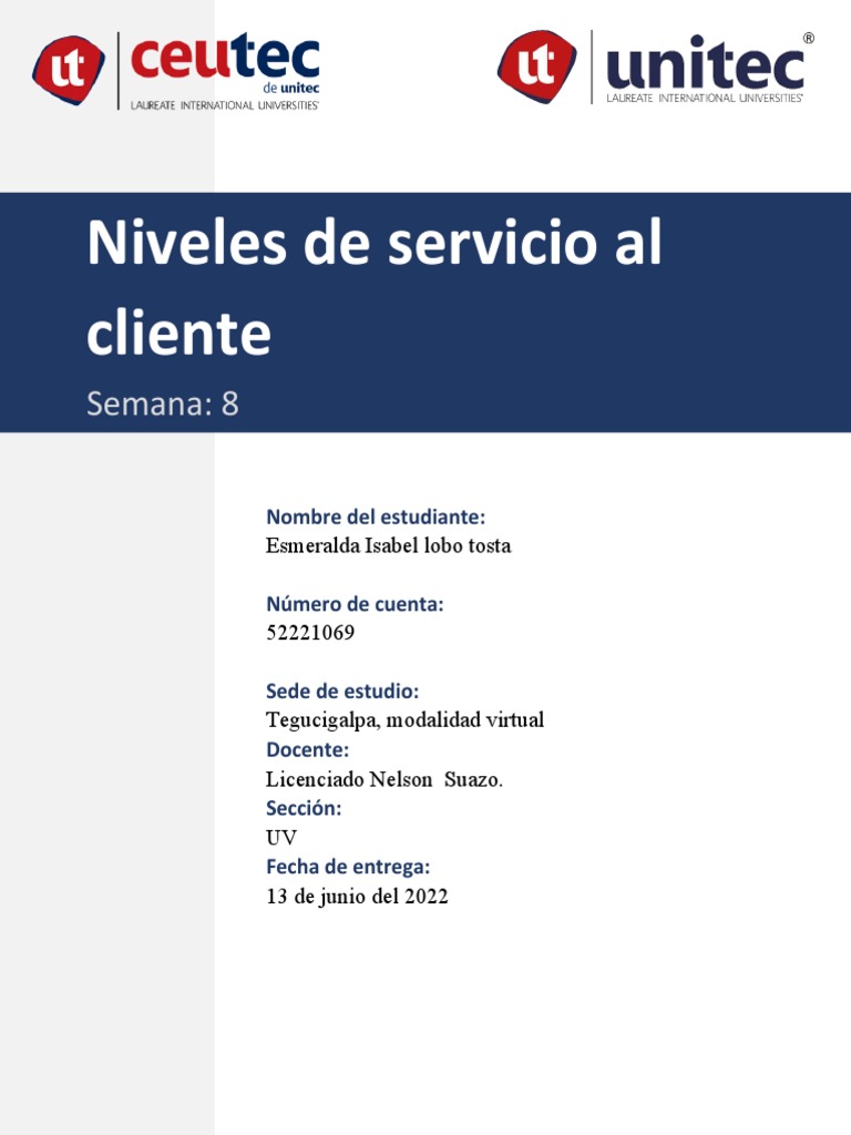Niveles de Servicio Al Cliente | PDF