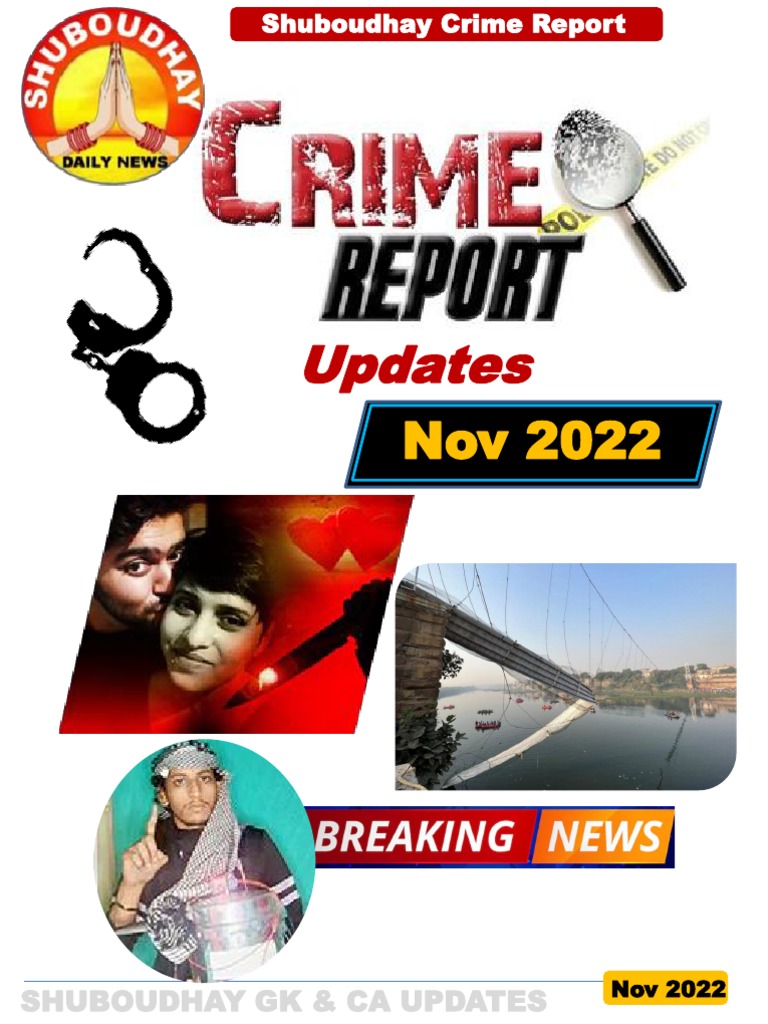 Crime Report | PDF