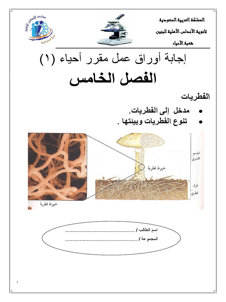 ‏إجابة ‏ورقة نشاط الفصل الخامس (الفطريات) | PDF