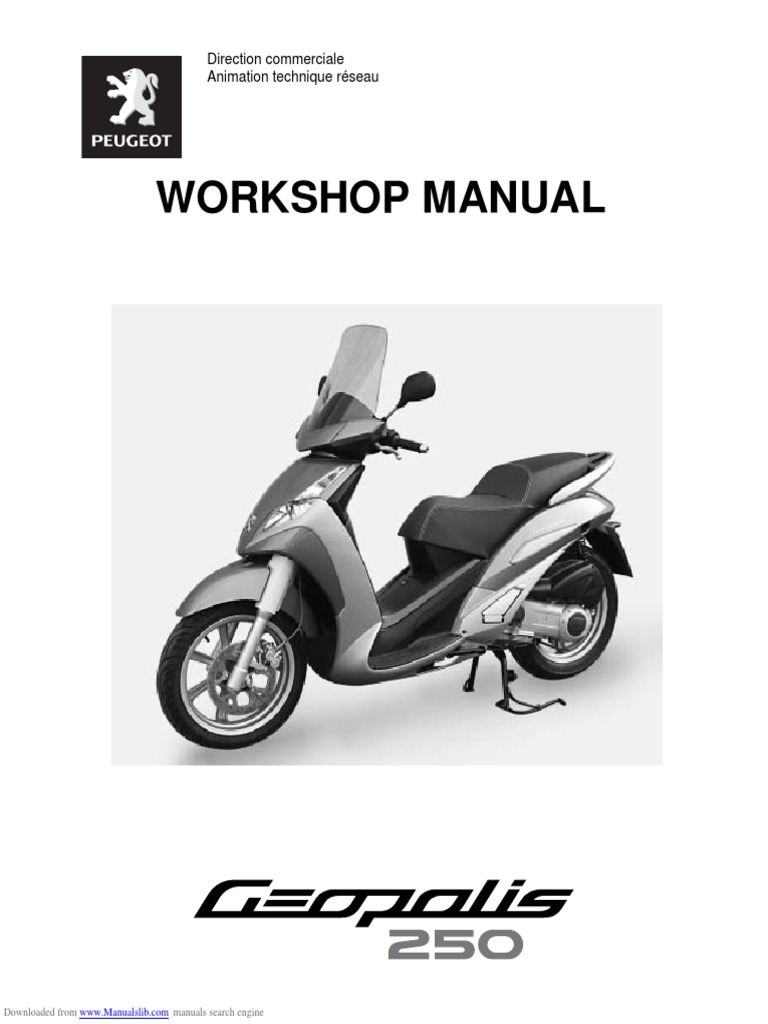 Peugeot Geopolis 250 Workshop Manual | PDF | Brake | Engines