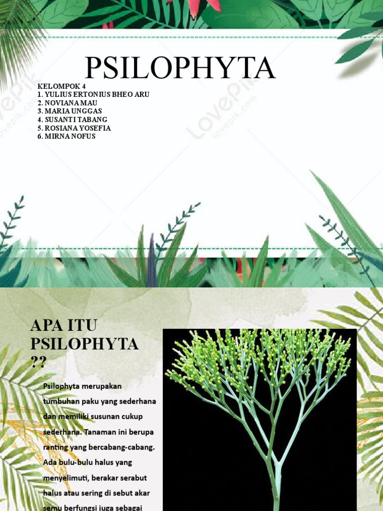 Psilophyta Kelompok 4 | PDF
