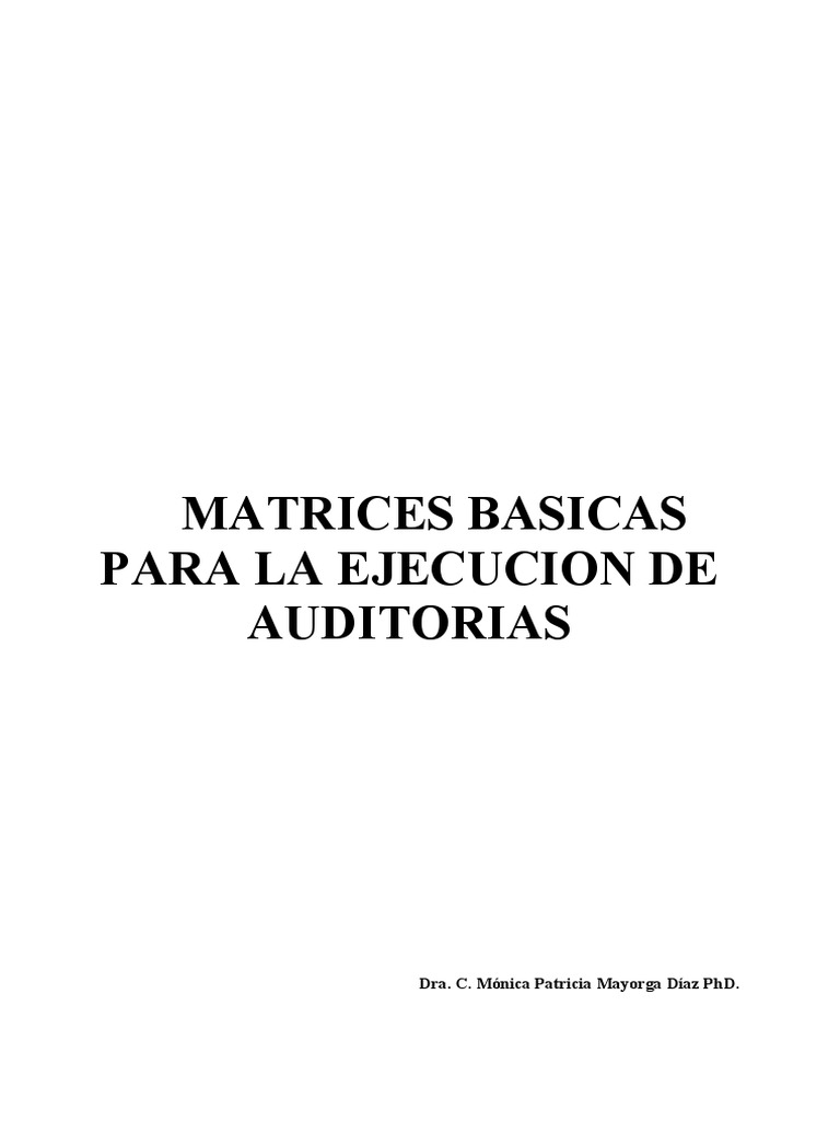 Matrices Basicas para La Ejecucion de Auditorias | PDF | Auditoría | Prueba (evaluación)