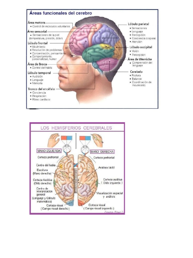 Imagenes Sssssss | PDF