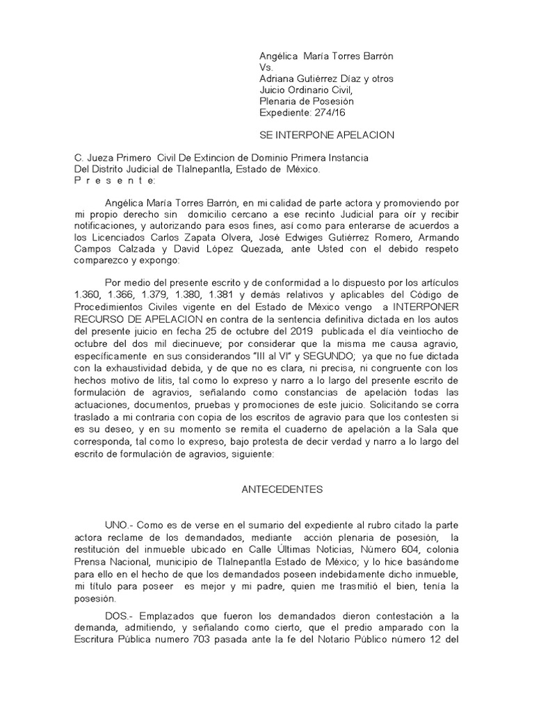 Angélica María Torres Barrón La Apelacion | PDF | Apelación | Sentencia ...