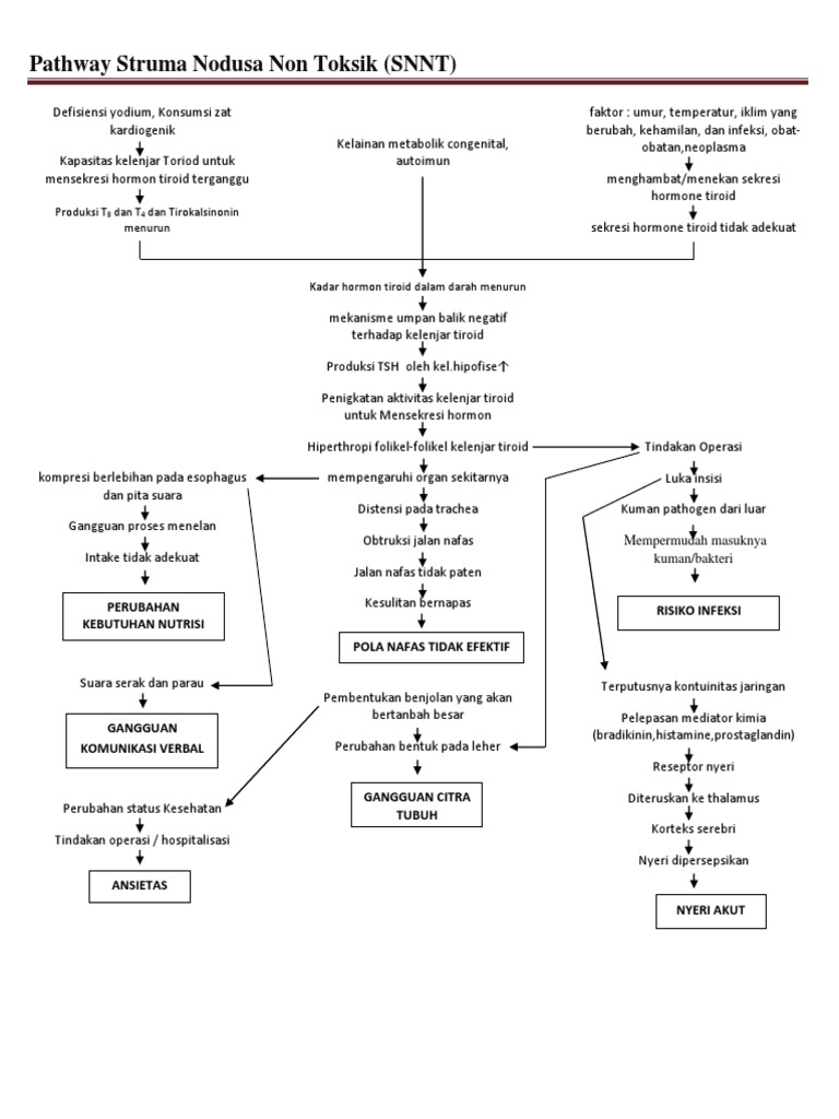 Pathway Struma | PDF