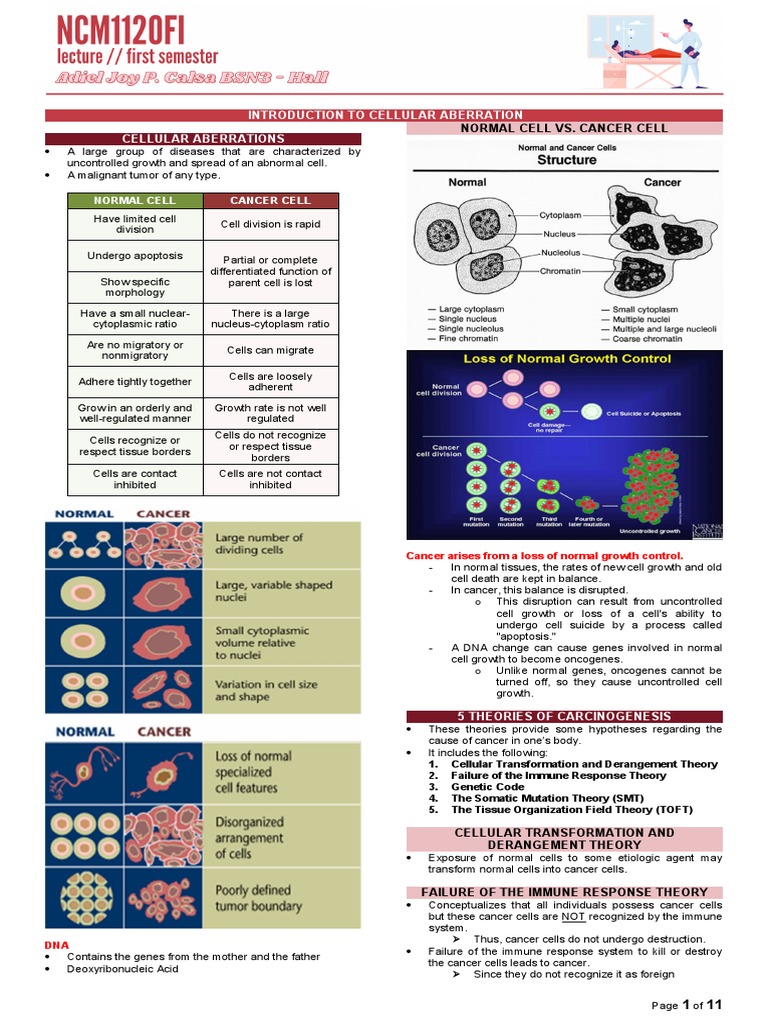 Introduction to Cellular Aberration: Normal Cell vs. Cancer Cell | PDF ...