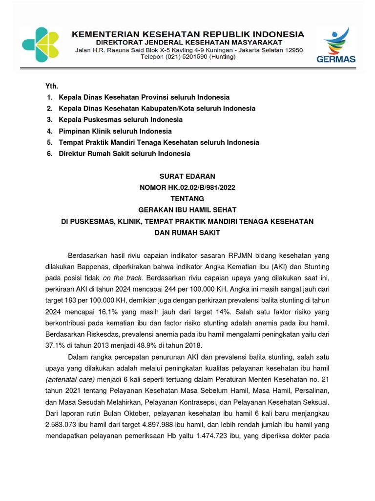 Gerakan Ibu Hamil Sehat Nasional | PDF