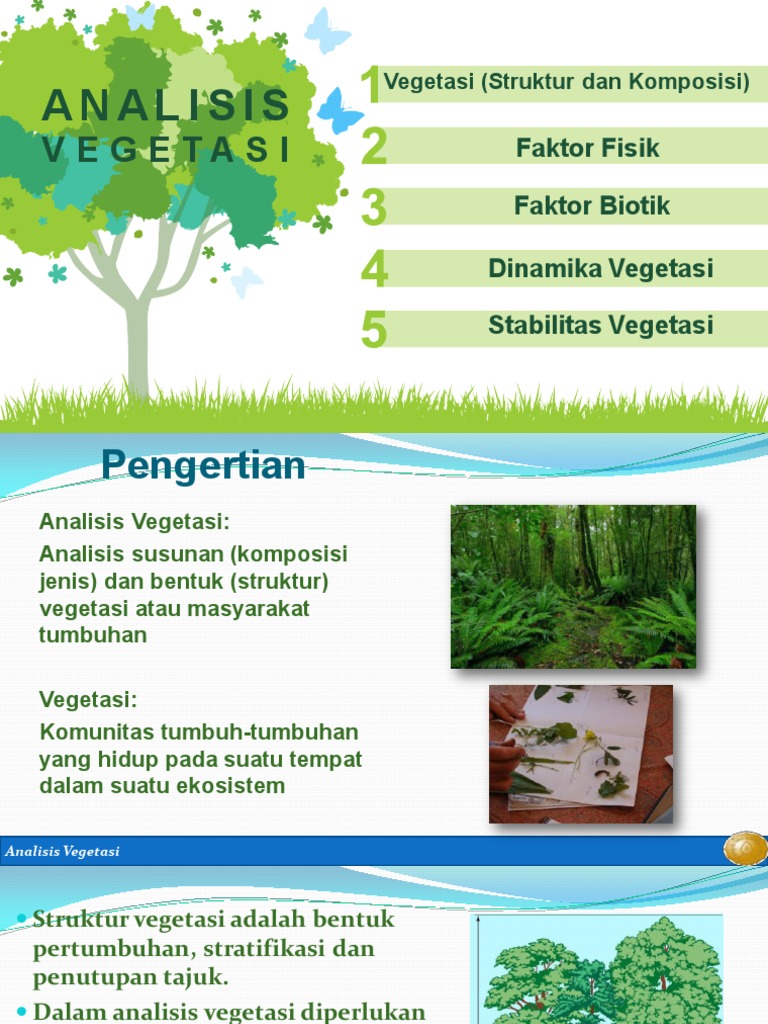 Analisis Vegetasi (V) | PDF