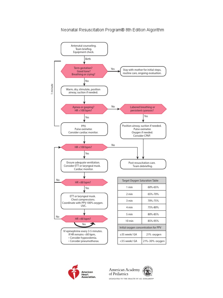 NRP 8th Ed Algorithm W Logos AHA AAP | Download Free PDF | Cardiopulmonary Resuscitation | Heart ...