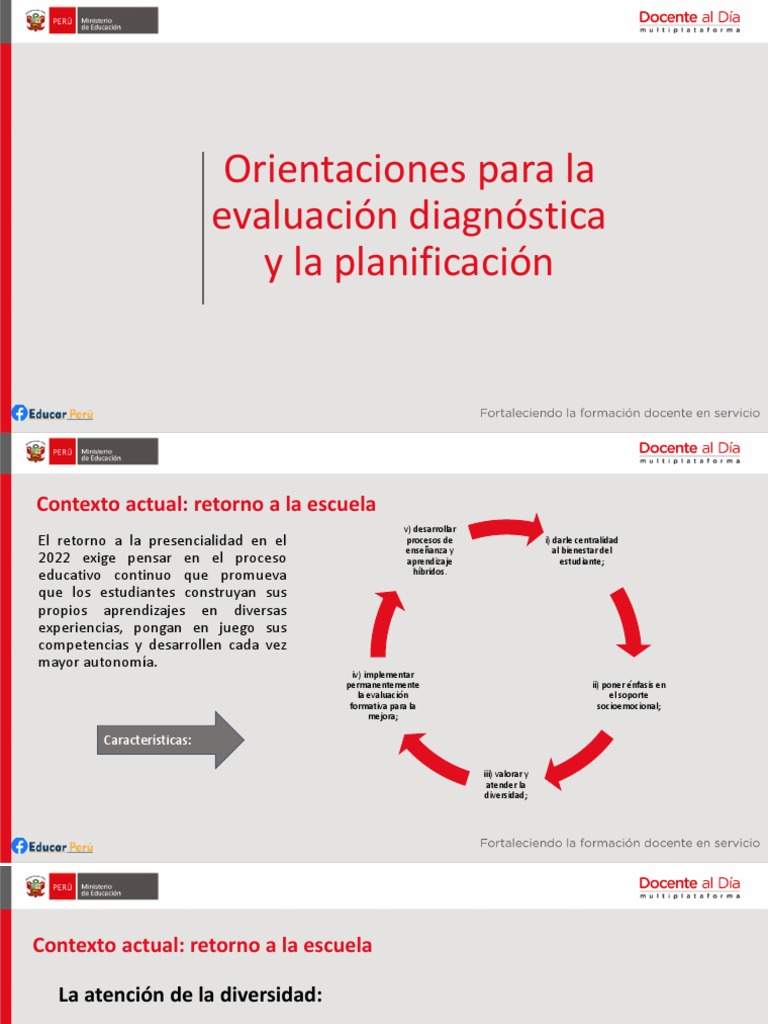 Evaluación Diagnóstica Y Planificación Anual Educarperú Pdf 9394